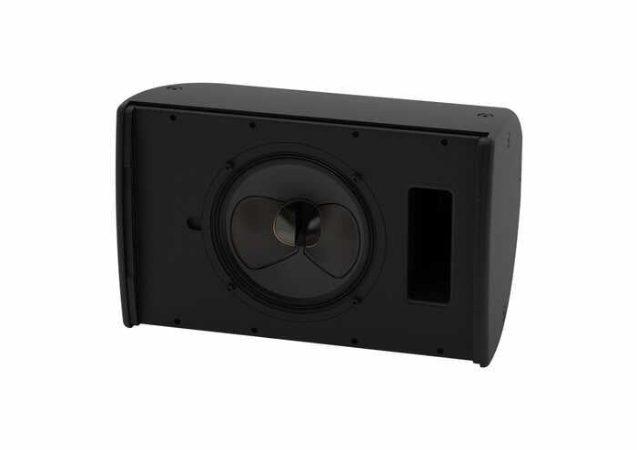 Martin Audio CDD10B Compact Passive 2-Way Speaker System, black ...